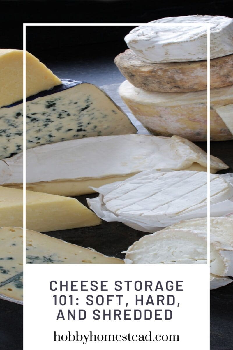 Cheese Storage 101: Soft, Hard, and Shredded - Hobby Homestead