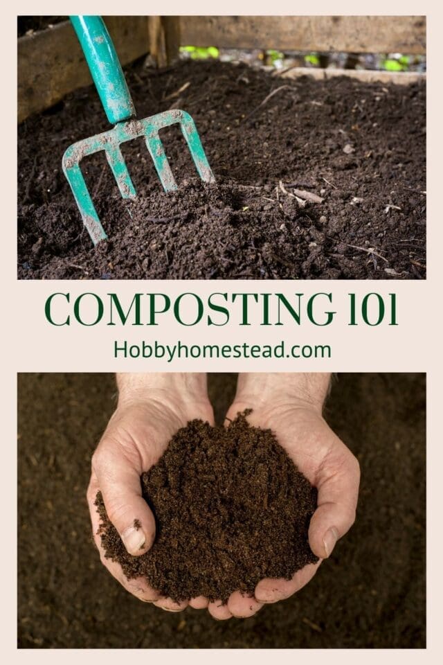 How to Start Composting: A Beginner’s Guide - Hobby Homestead
