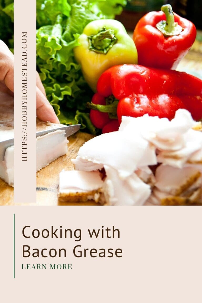 How to Render and Cook with Bacon Grease - Hobby Homestead