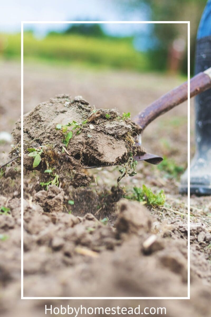 How to Till a Garden by Hand: the Double Digging Method - Hobby Homestead