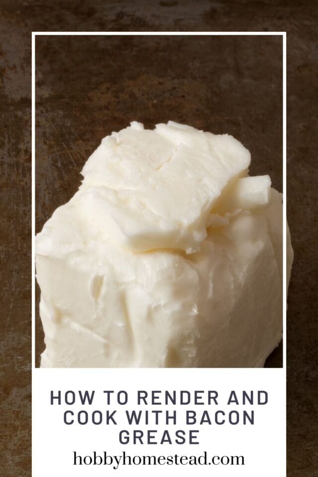 How to Render and Cook with Bacon Grease - Hobby Homestead