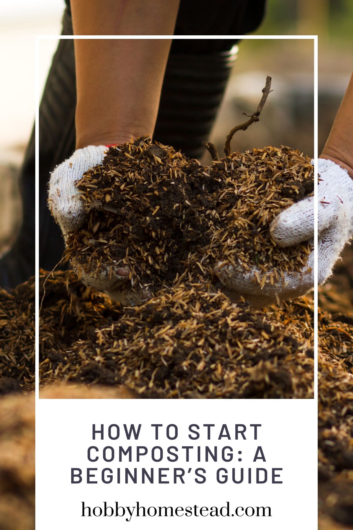 How to Press Flowers for Beginners: The Ultimate Guide - Hobby Homestead