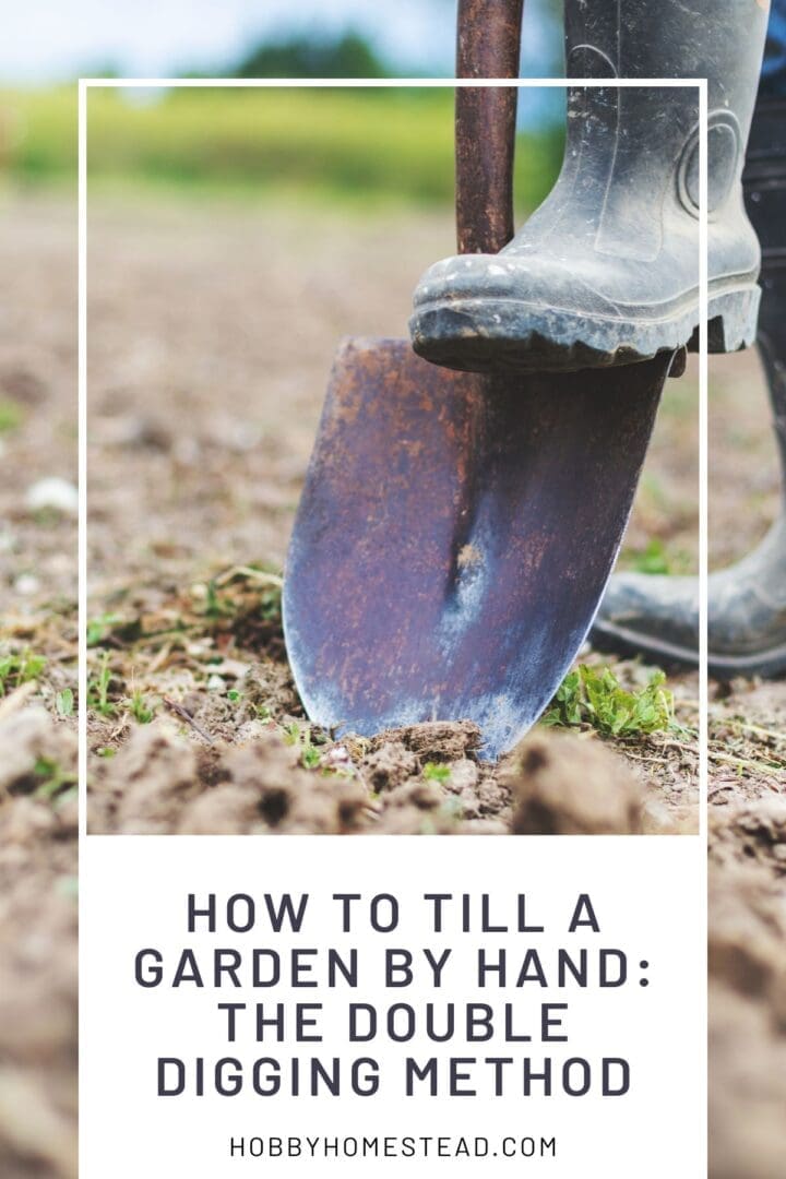 How to Till a Garden by Hand: the Double Digging Method - Hobby Homestead
