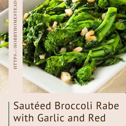 Sautéed Broccoli Rabe with Garlic and Red Pepper Flakes - Hobby Homestead