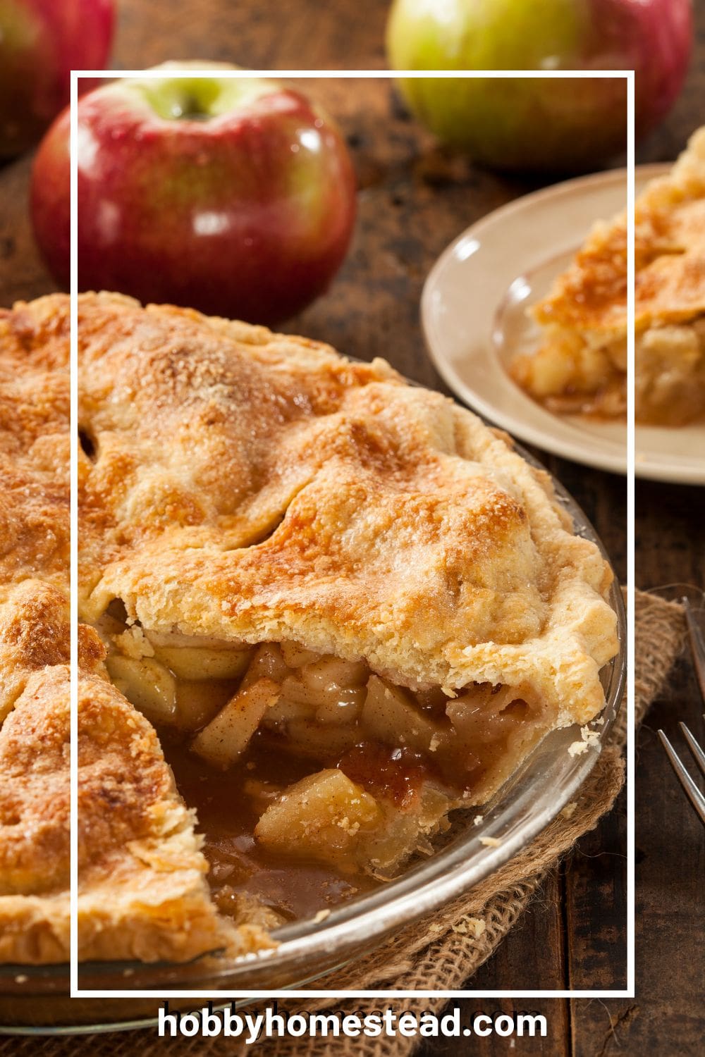 Old Fashioned Homemade Apple Pie Recipe - Hobby Homestead