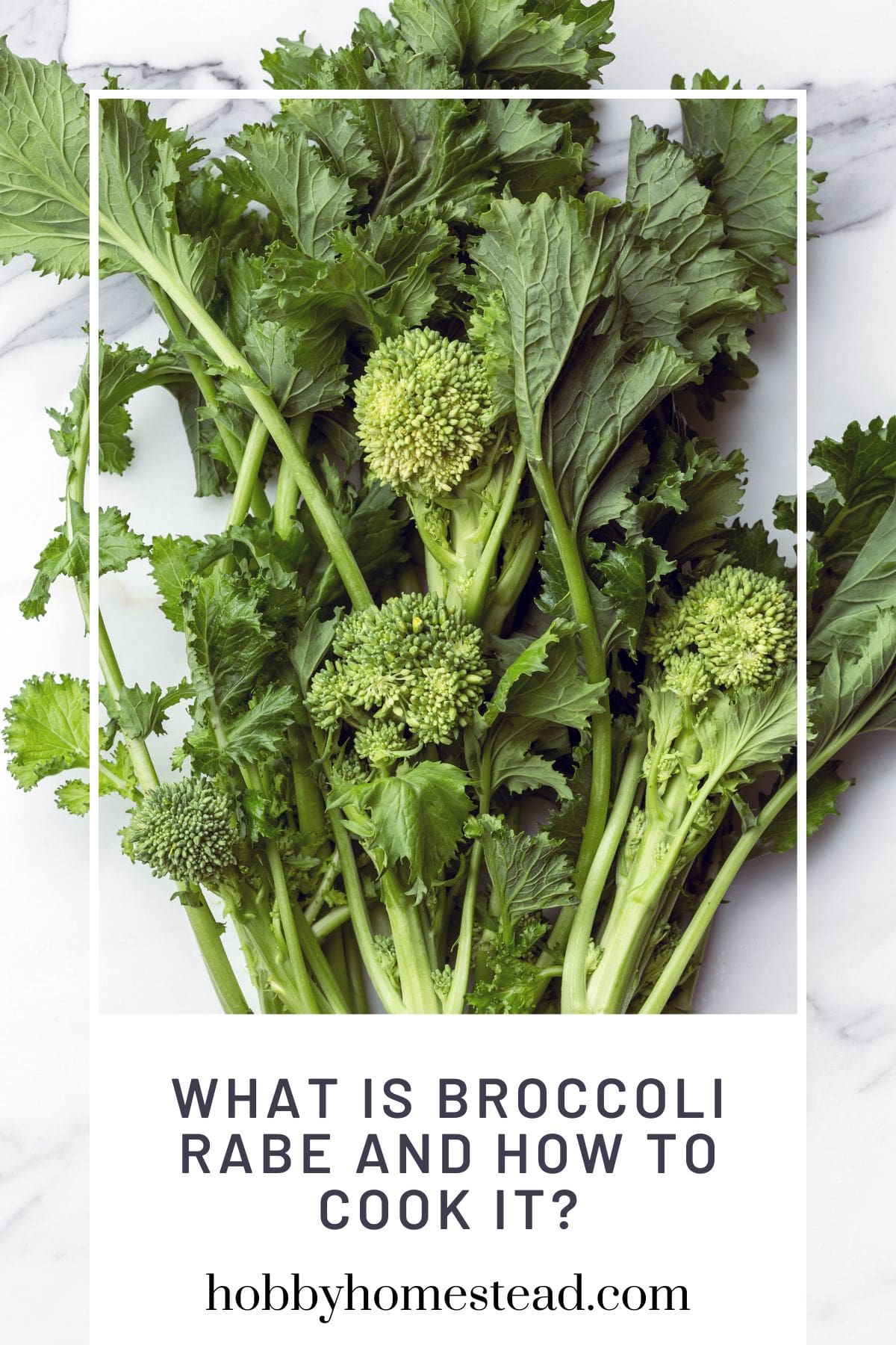 What is Broccoli Rabe and How to Cook it? - Hobby Homestead