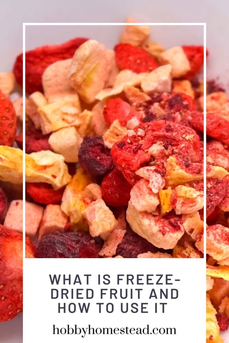 What is Freeze-Dried Fruit and How to Use It - Hobby Homestead