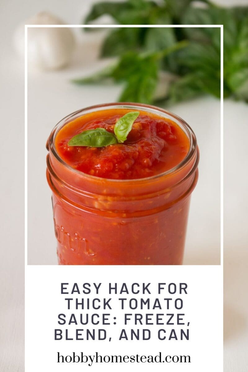 Easy Hack for Thick Tomato Sauce: Freeze, Blend, and Can - Hobby Homestead