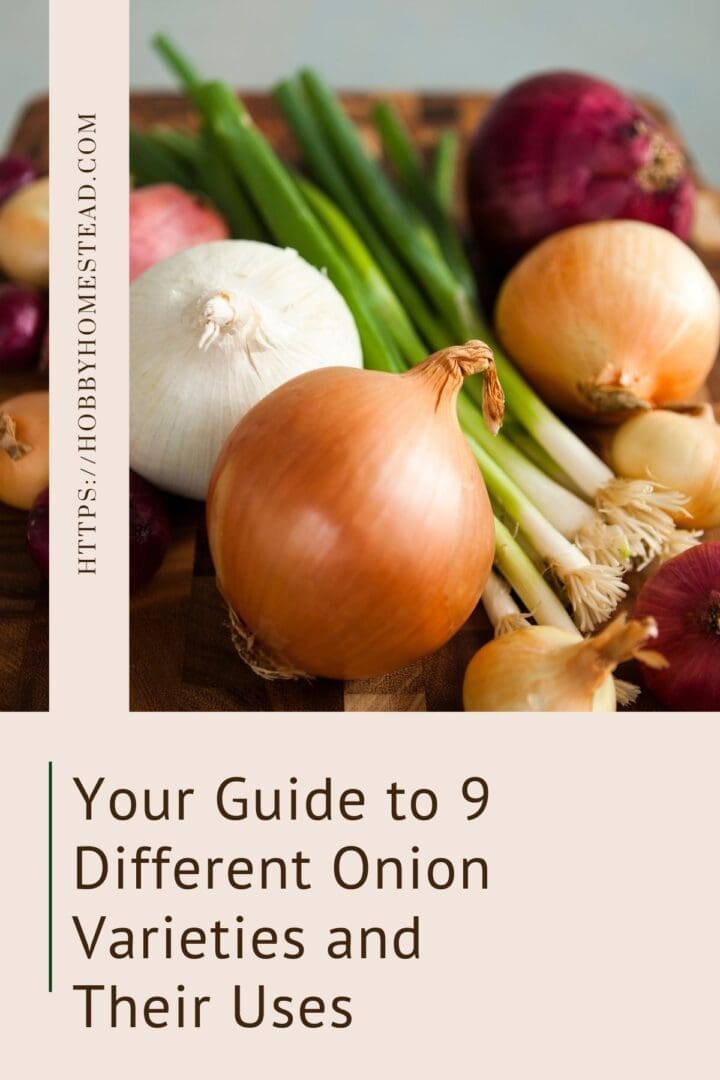 Your Guide to 9 Different Onion Varieties and Their Uses - Hobby Homestead