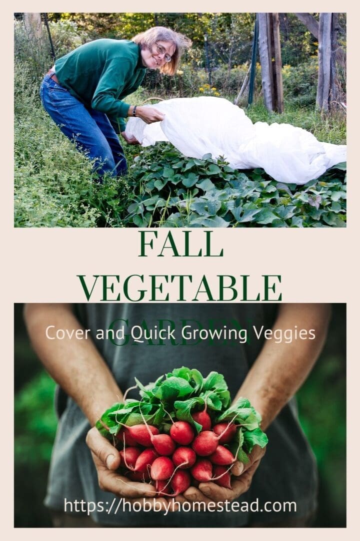 Quick-Harvest Vegetables to Try for Fall in the Midwest - Hobby Homestead
