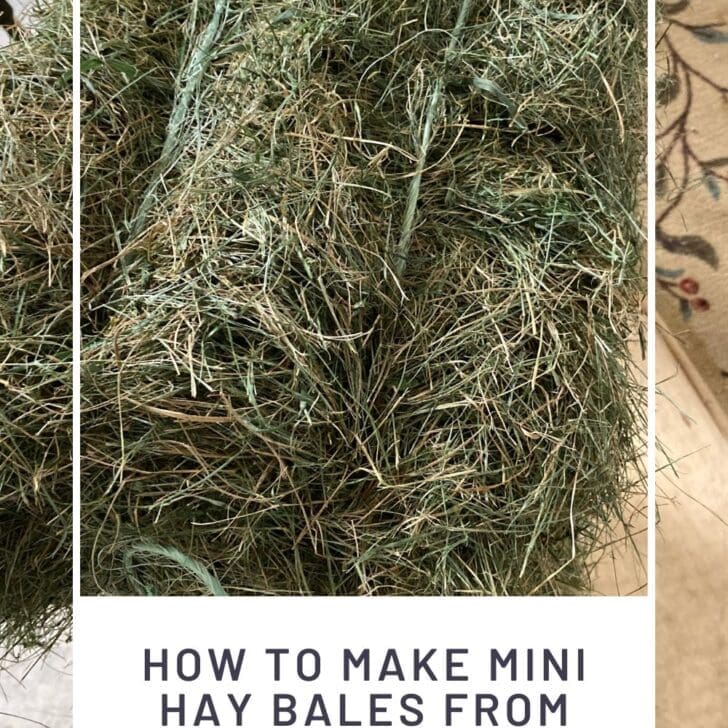 How to Make Mini Hay Bales from Lawn Grass Clippings - Hobby Homestead