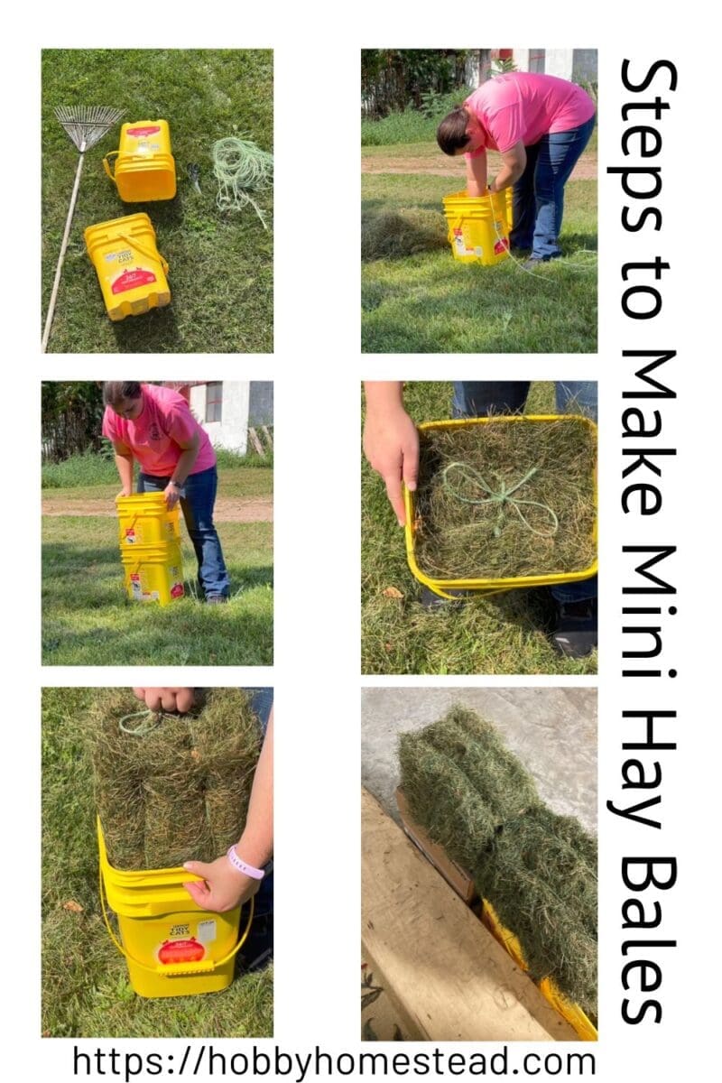 How to Make Mini Hay Bales from Lawn Grass Clippings - Hobby Homestead