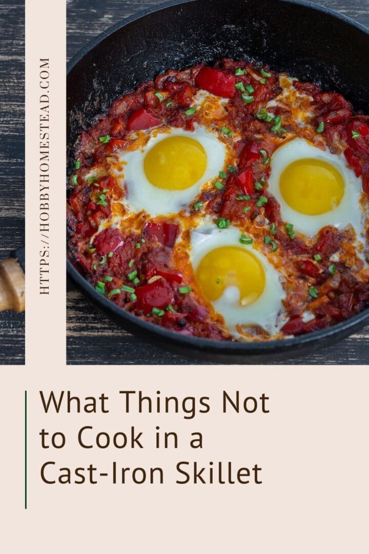 What Things Not to Cook in a Cast-Iron Skillet - Hobby Homestead
