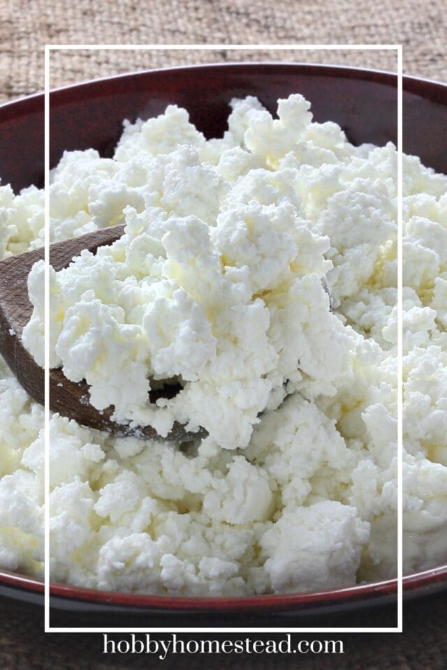 Homemade Cottage Cheese: Simple and Delicious DIY Recipe - Hobby Homestead