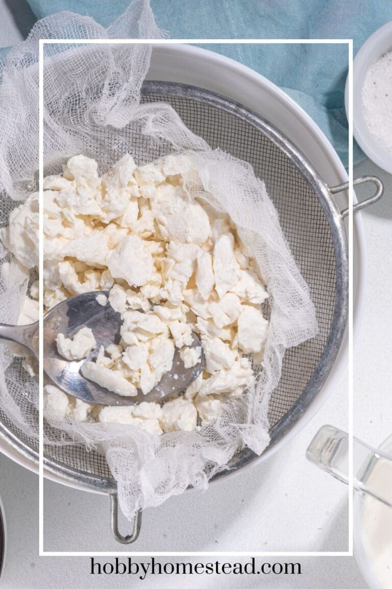 Homemade Cottage Cheese: Simple and Delicious DIY Recipe - Hobby Homestead