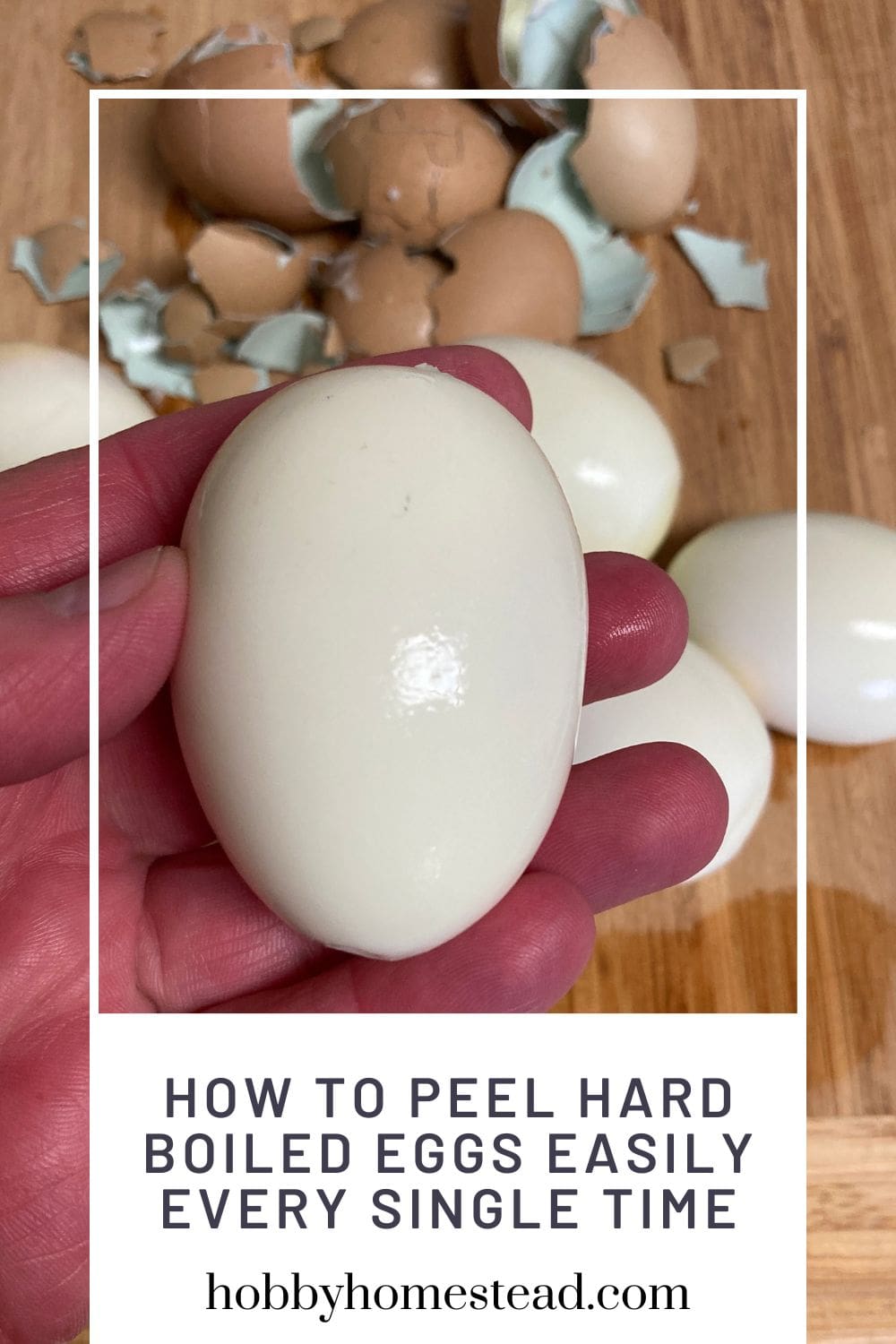 How to Peel Hard Boiled Eggs Easily Every Single Time - Hobby Homestead