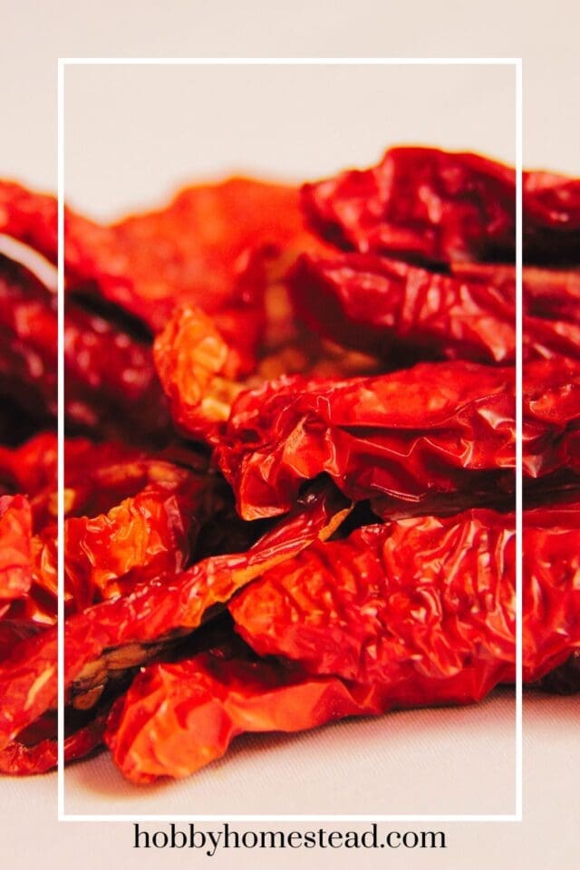 Homemade Paprika with Fresh Flavors from Garden to Jar - Hobby Homestead