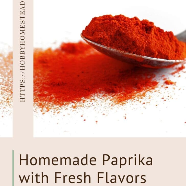 Homemade Paprika with Fresh Flavors from Garden to Jar - Hobby Homestead