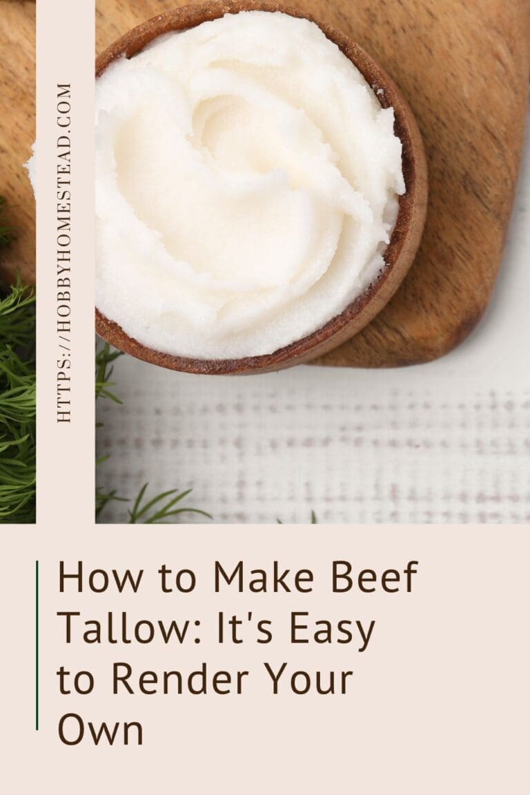 How to Make Beef Tallow: It's Easy to Render Your Own - Hobby Homestead