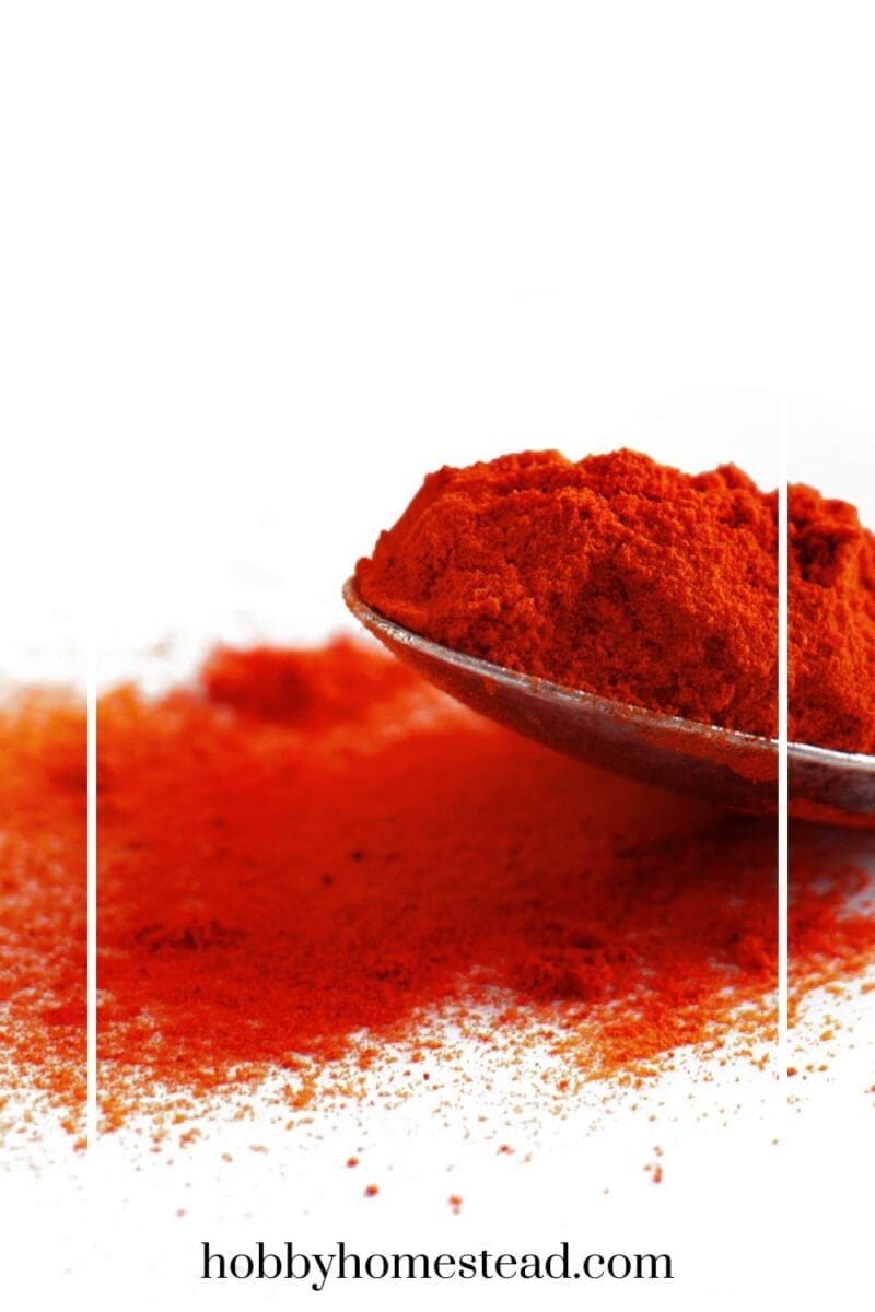 Homemade Paprika with Fresh Flavors from Garden to Jar - Hobby Homestead