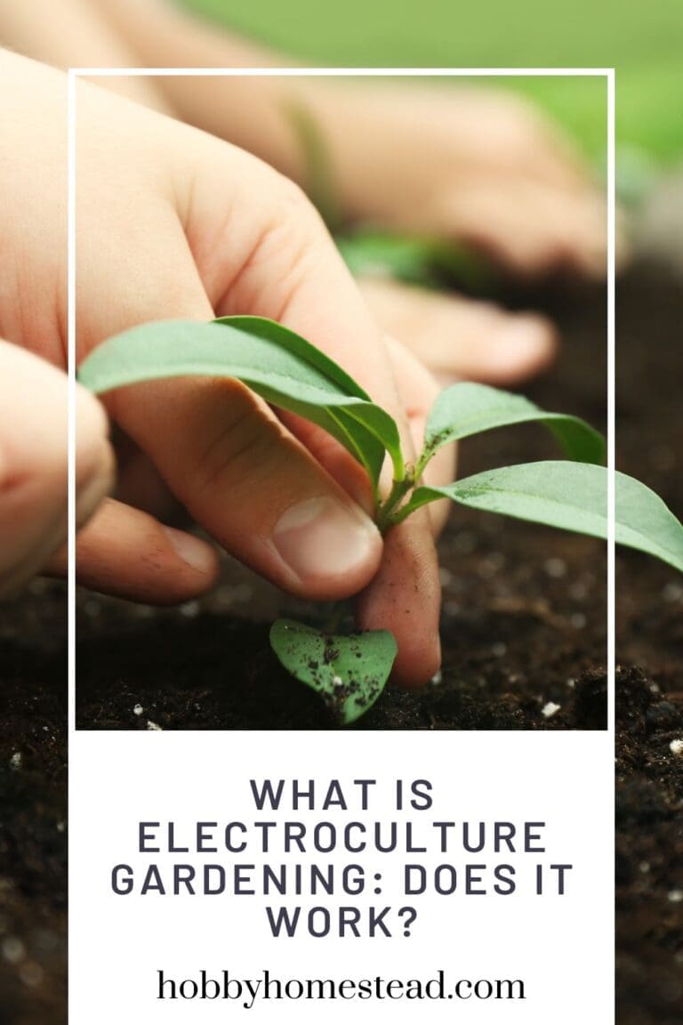 What is Electroculture Gardening: Does it Work? - Hobby Homestead