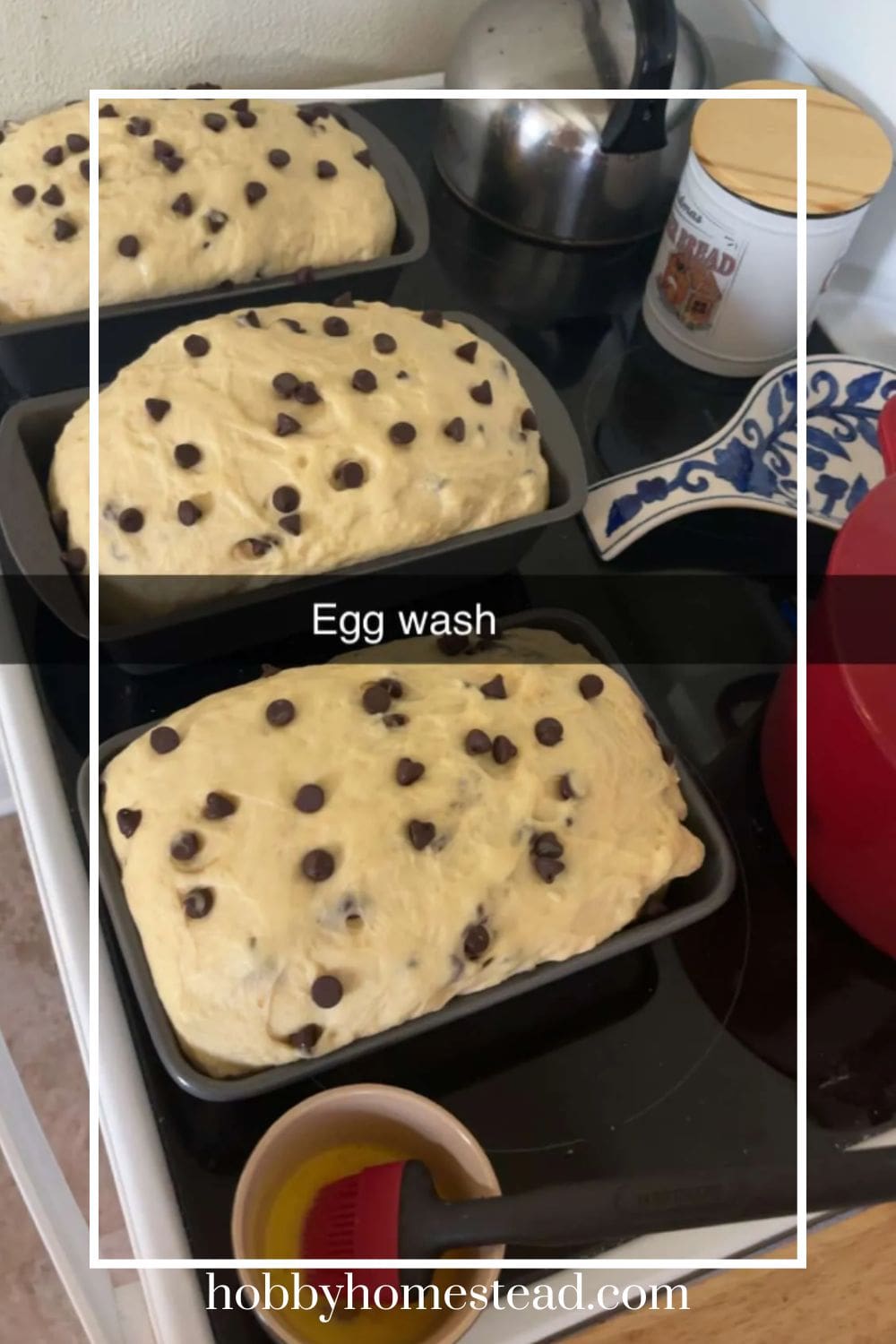 Understanding Sourdough Starter Smell and Troubleshooting - Hobby Homestead