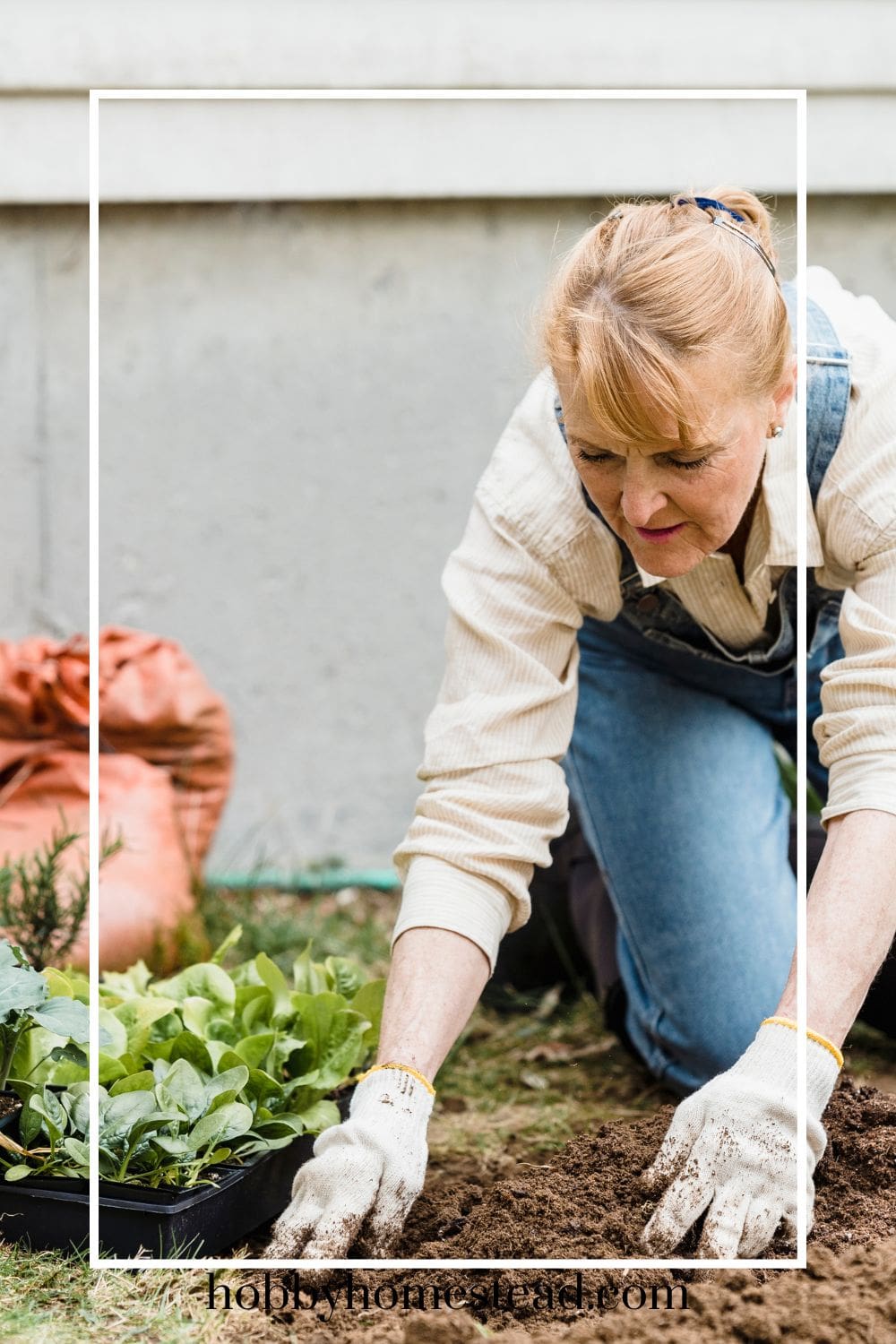 From Plot to Paradise How to Plan the Perfect Garden - Hobby Homestead