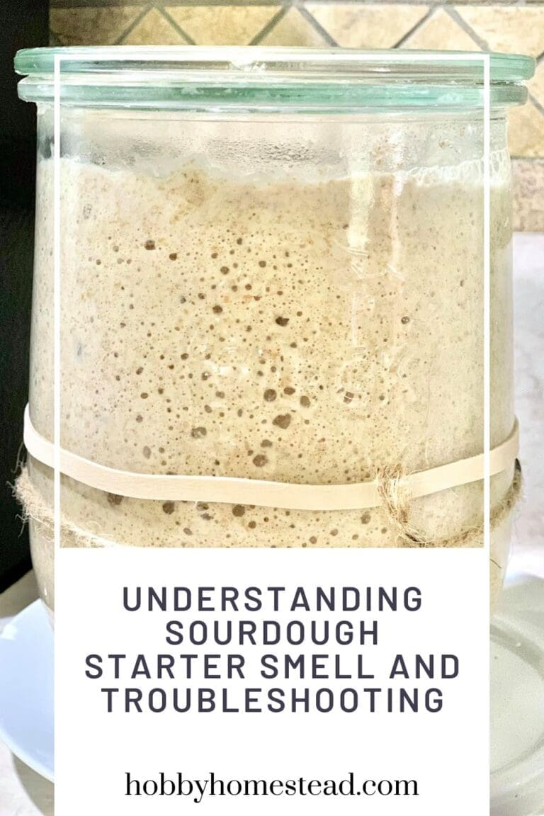Understanding Sourdough Starter Smell and Troubleshooting - Hobby Homestead