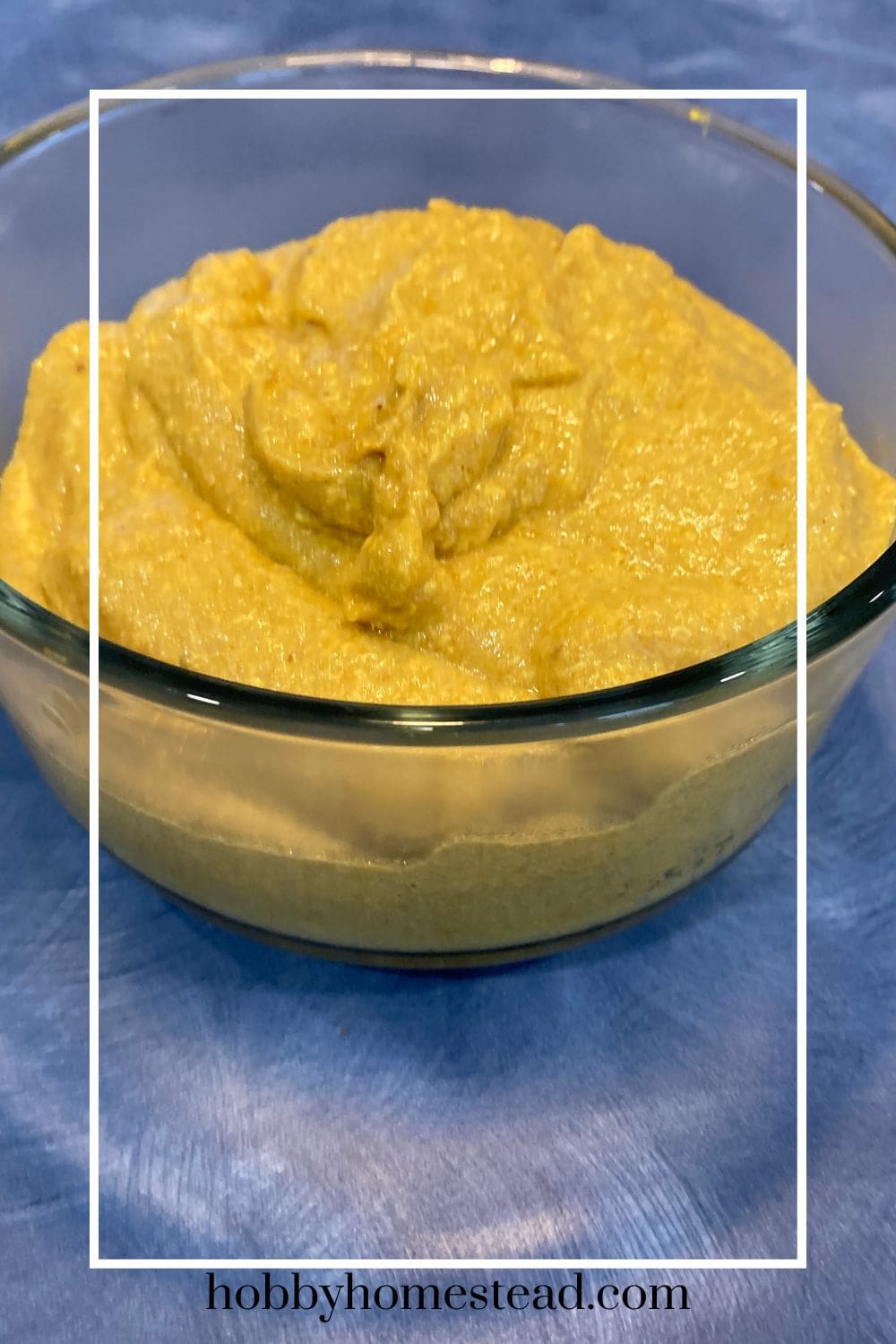Make Easy Homemade Gourmet Mustard from Scratch - Hobby Homestead