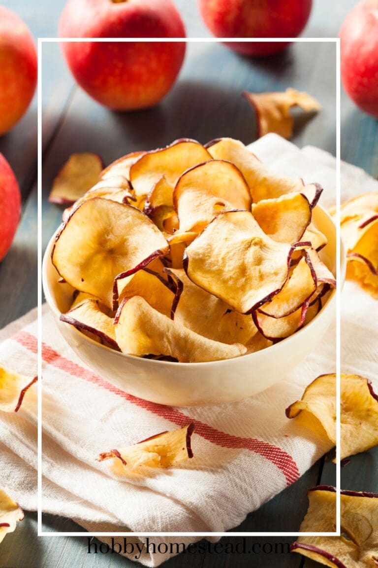 How to Dehydrate Apples at Home 3 Easy Methods - Hobby Homestead