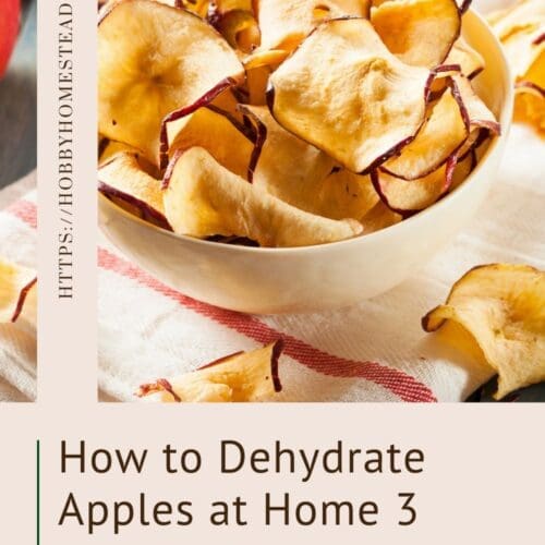 How to Dehydrate Apples at Home 3 Easy Methods - Hobby Homestead