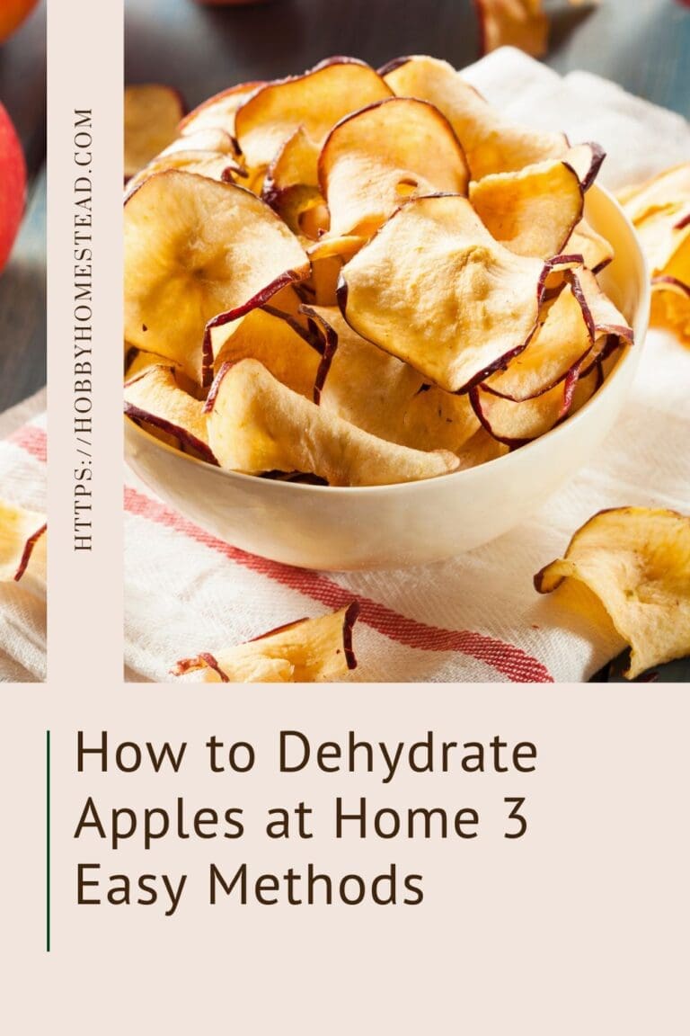 How to Dehydrate Apples at Home 3 Easy Methods - Hobby Homestead