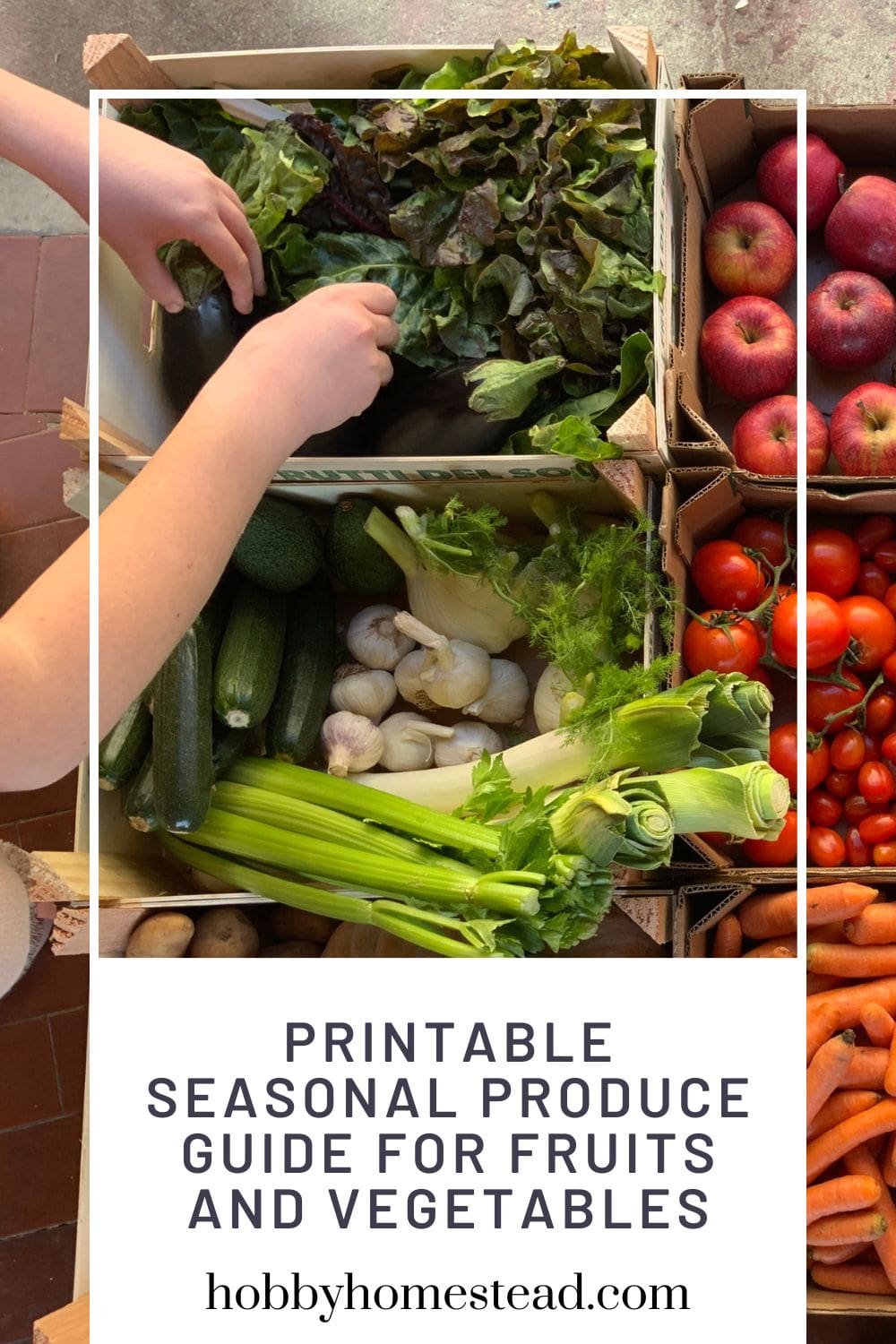 Printable Seasonal Produce Guide for Fruits and Vegetables - Hobby ...
