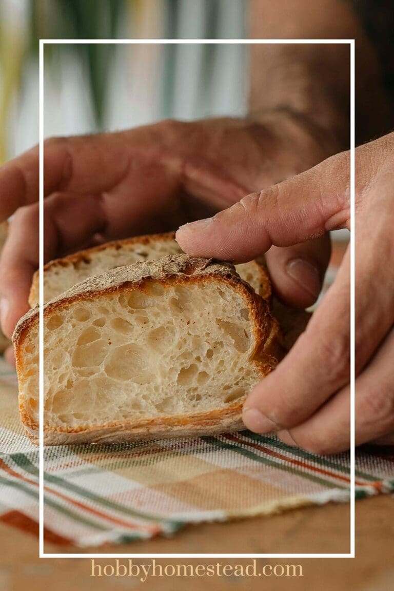 Sourdough Discard 101: Add It to Your Favorite Recipes - Hobby Homestead