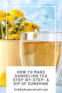 How to Make Dandelion Tea Step-by-Step: A Sip of Sunshine - Hobby Homestead