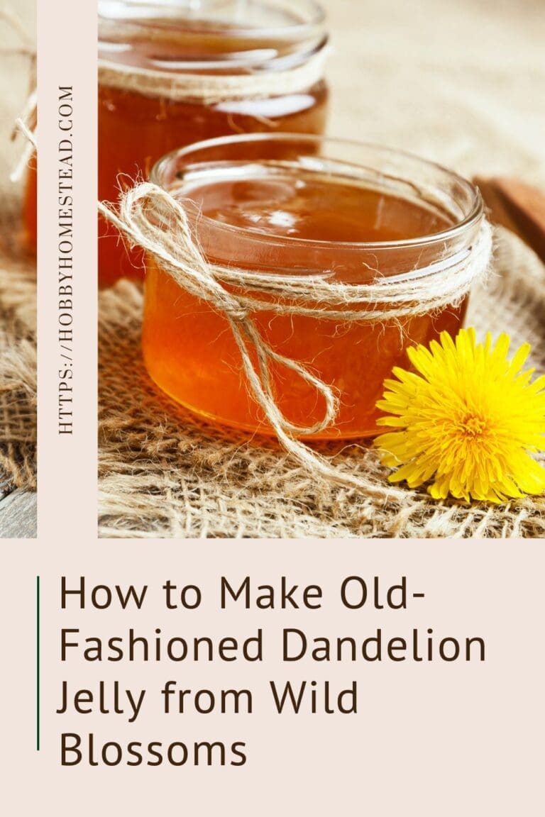 How to Make Old-Fashioned Dandelion Jelly from Wild Blossoms - Hobby ...