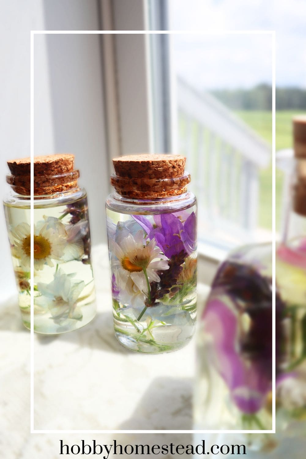 Easy Way to Preserve Flowers in Bottles with Baby Oil - Hobby Homestead