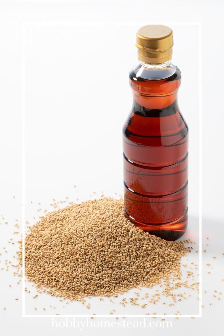Make Pure Sesame Oil Using Just Seeds and Water - Hobby Homestead