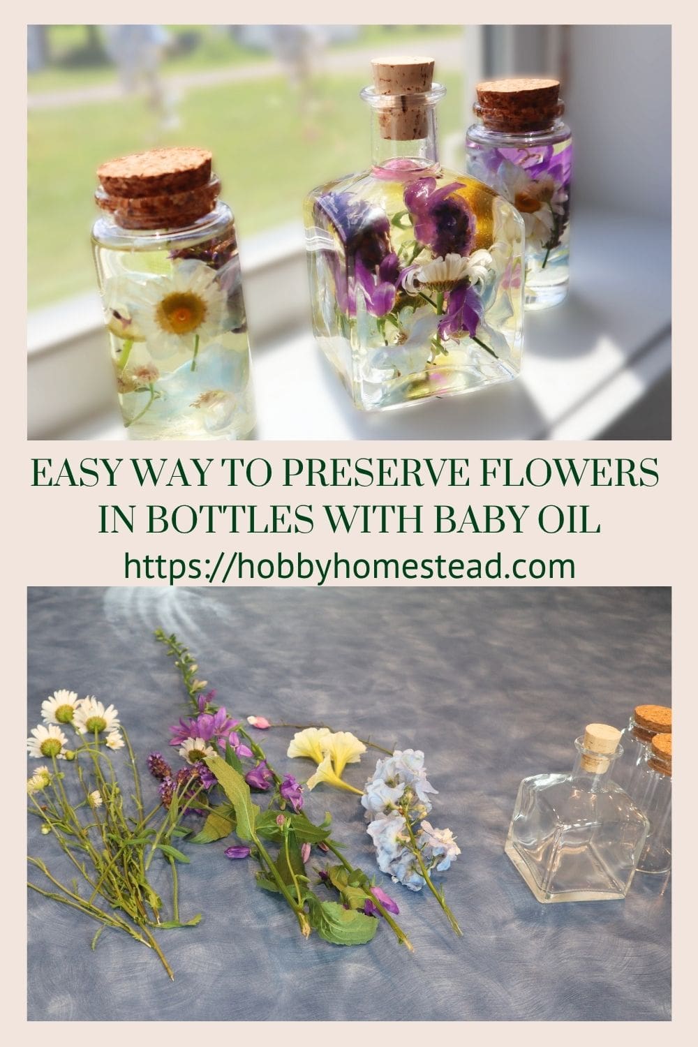 Easy Way to Preserve Flowers in Bottles with Baby Oil - Hobby Homestead
