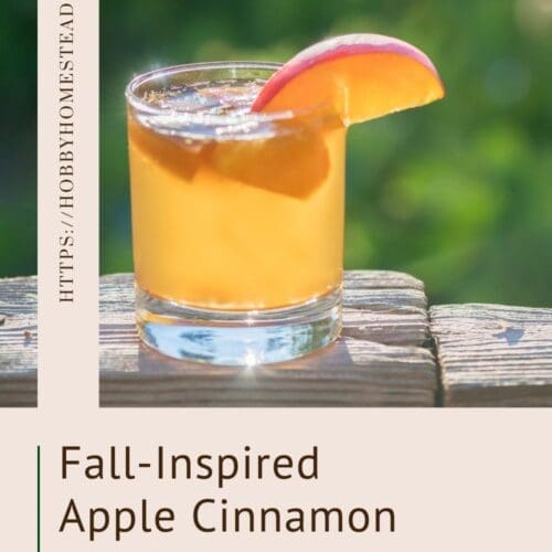 Fall-Inspired Apple Cinnamon Kombucha Recipe - Hobby Homestead
