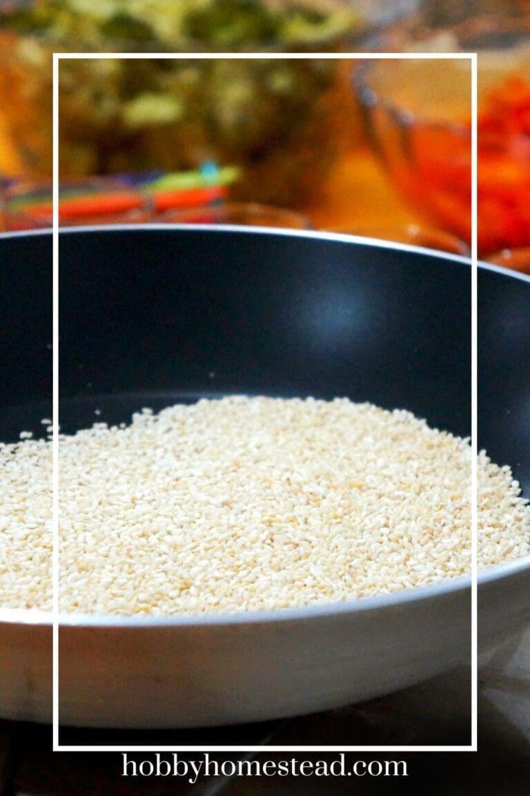 Make Pure Sesame Oil Using Just Seeds and Water - Hobby Homestead