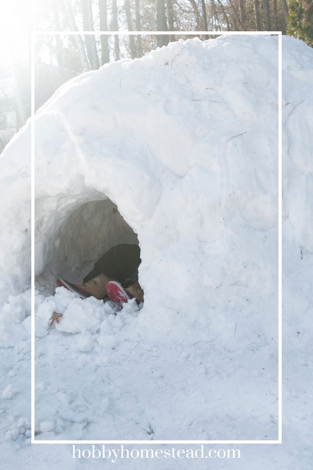 How to Build a Shelter: Survival Skills for Outdoors - Hobby Homestead