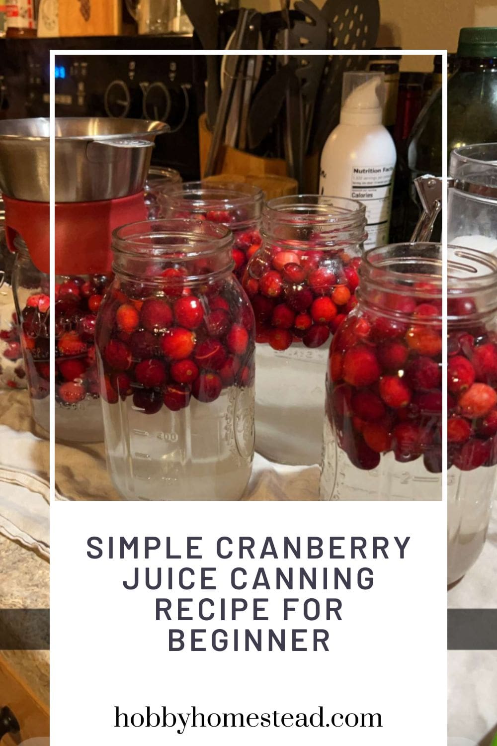 Simple Cranberry Juice Canning Recipe for Beginner - Hobby Homestead