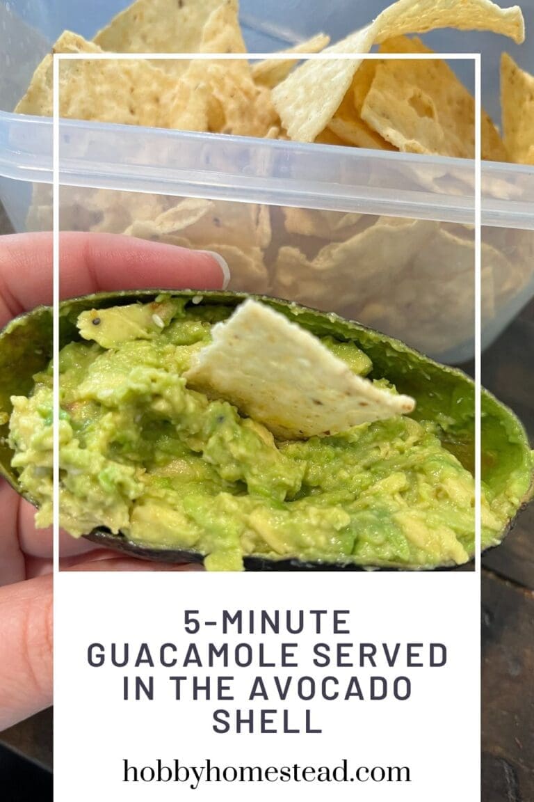 5-Minute Guacamole Served in the Avocado Shell - Hobby Homestead