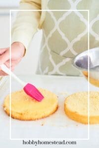 The Best Easy Simple Syrup Recipe You Can Make at Home - Hobby Homestead