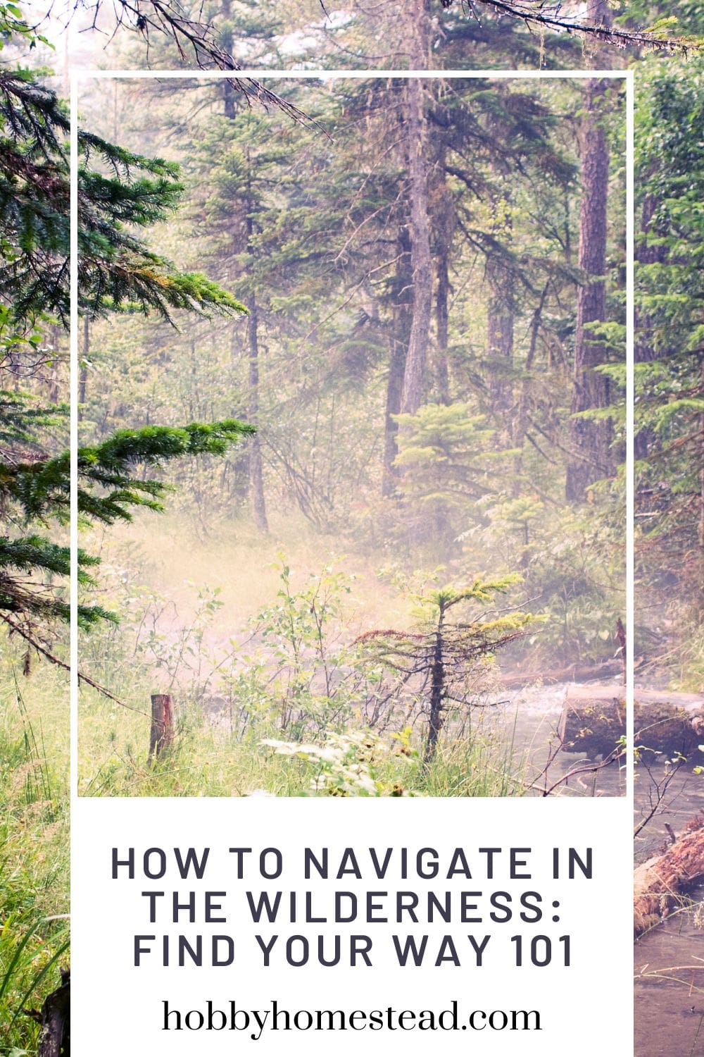 How to Navigate in the Wilderness: Find Your Way 101 - Hobby Homestead