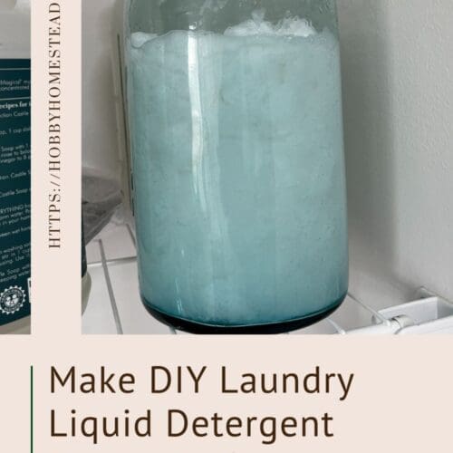 Make DIY Laundry Liquid Detergent for Fresh, Clean Clothes - Hobby ...