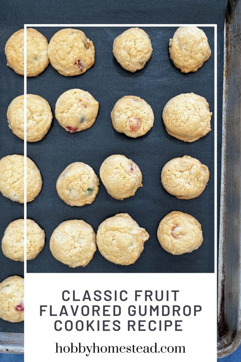 Classic Fruit Flavored Gumdrop Cookies Recipe - Hobby Homestead