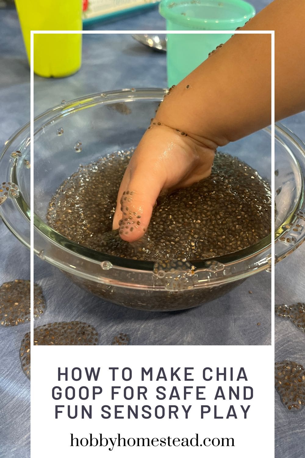 How to Make Chia Goop for Safe and Fun Sensory Play - Hobby Homestead